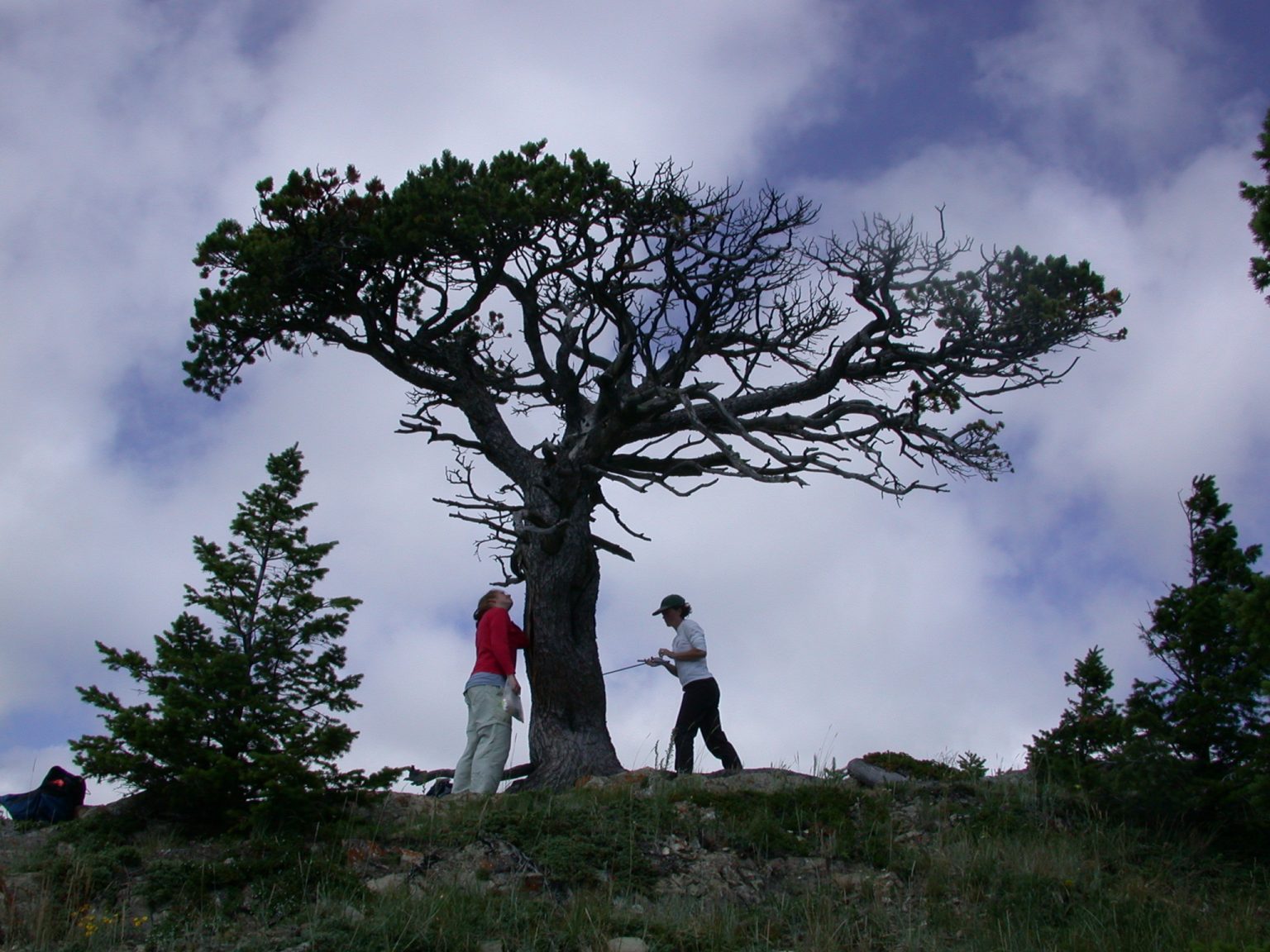 ABOUT US – PARC Data Applications