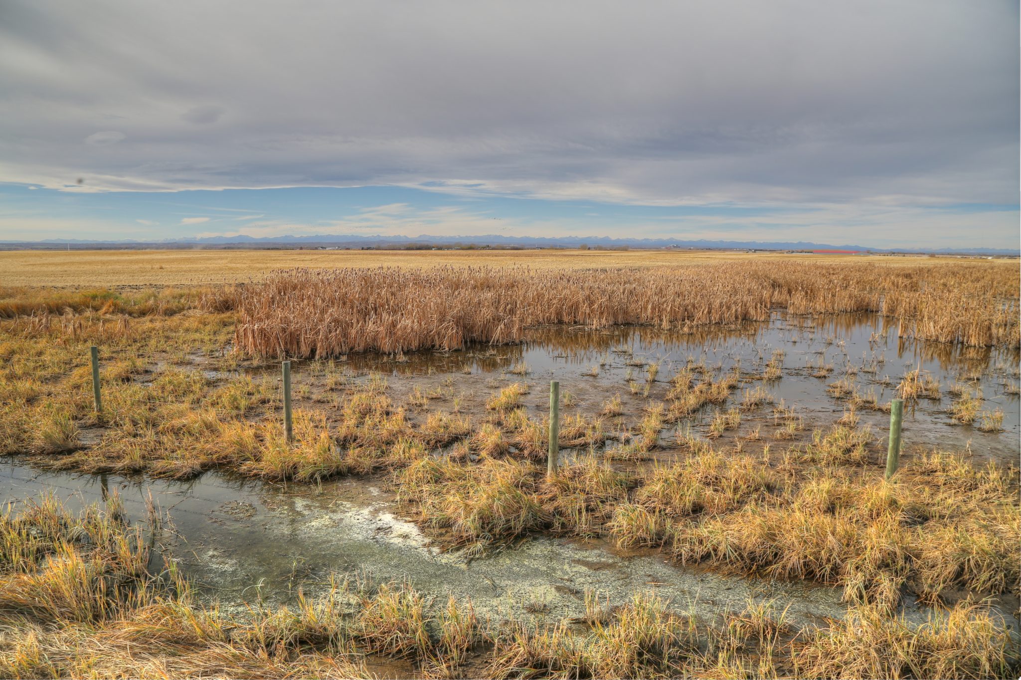 Regional Climate Models – PARC Data Applications