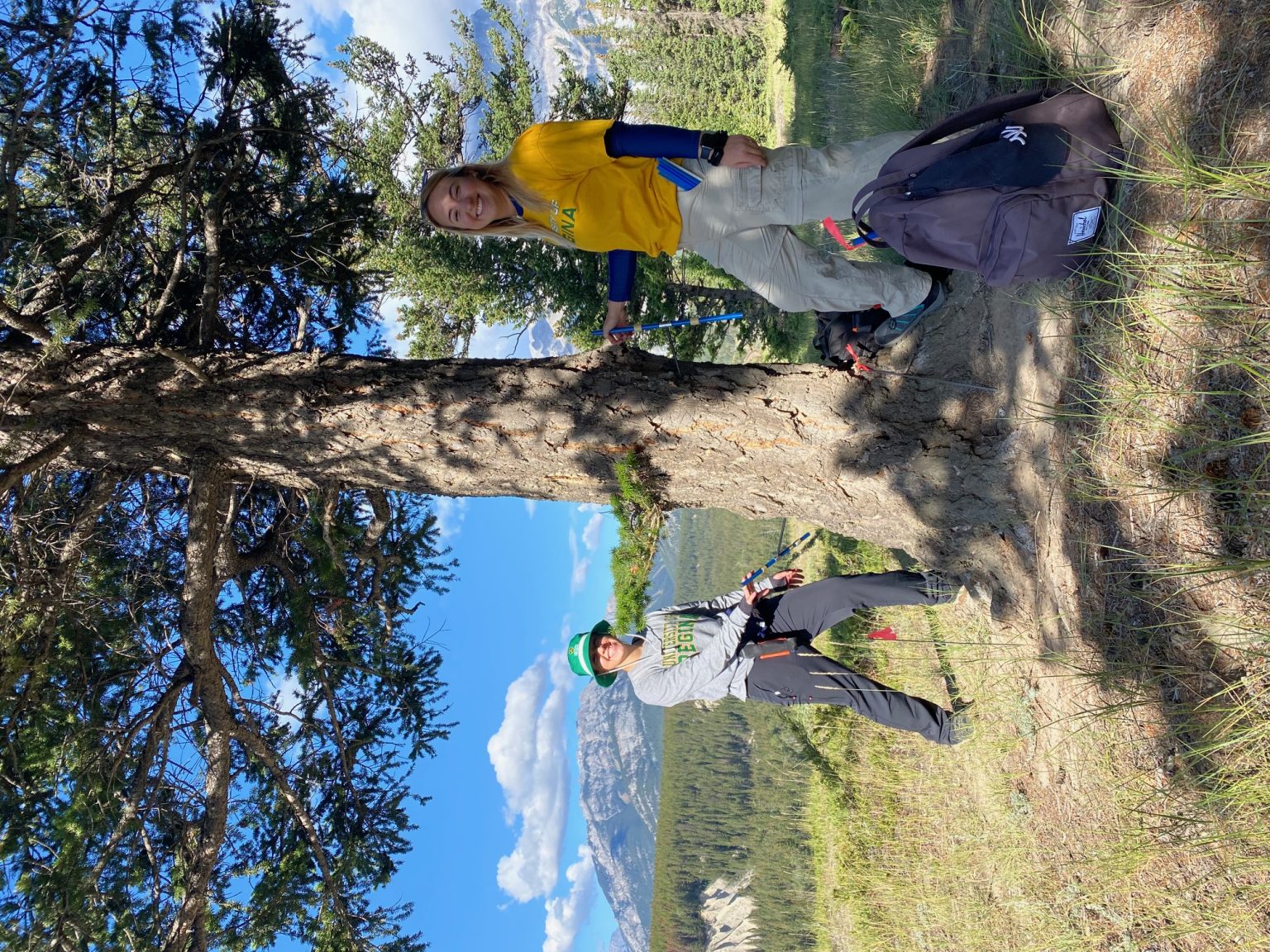 TREE-RING LAB – PARC Data Applications